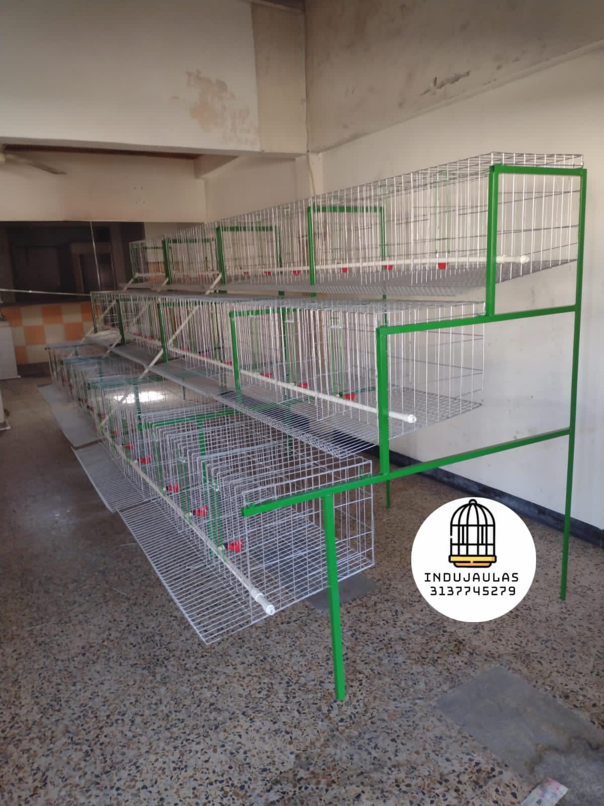 JAULAS PARA GALLINA MEDIO MODULO PIRAMIDAL PARA 27 AVES | INDUJAULAS ...