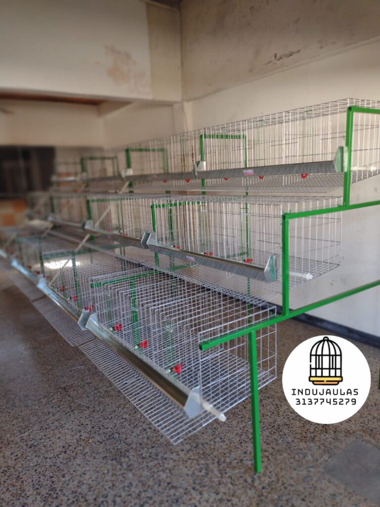 JAULAS PARA GALLINA MEDIO MODULO PIRAMIDAL PARA 27 AVES | INDUJAULAS ...