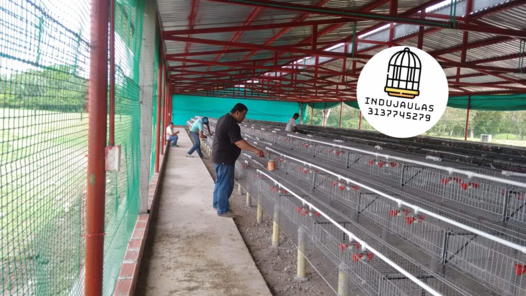 JAULAS PARA CODORNIZ MODULOS PIRAMIDALES PARA 200 AVES | INDUJAULAS ...