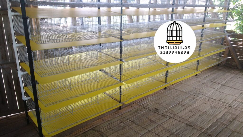 JAULAS PARA CODORNIZ MODULO VERTICAL PARA 200 AVES | INDUJAULAS, Jaulas ...