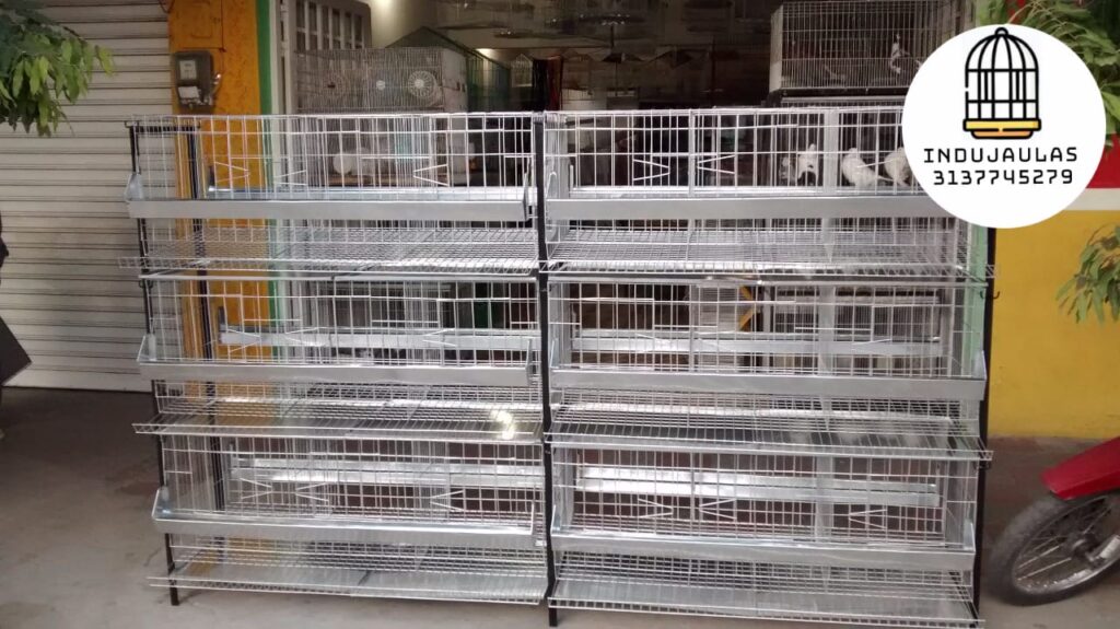 JAULAS PARA GALLINA MODULOS VERTICALES PARA 27 AVES | INDUJAULAS ...