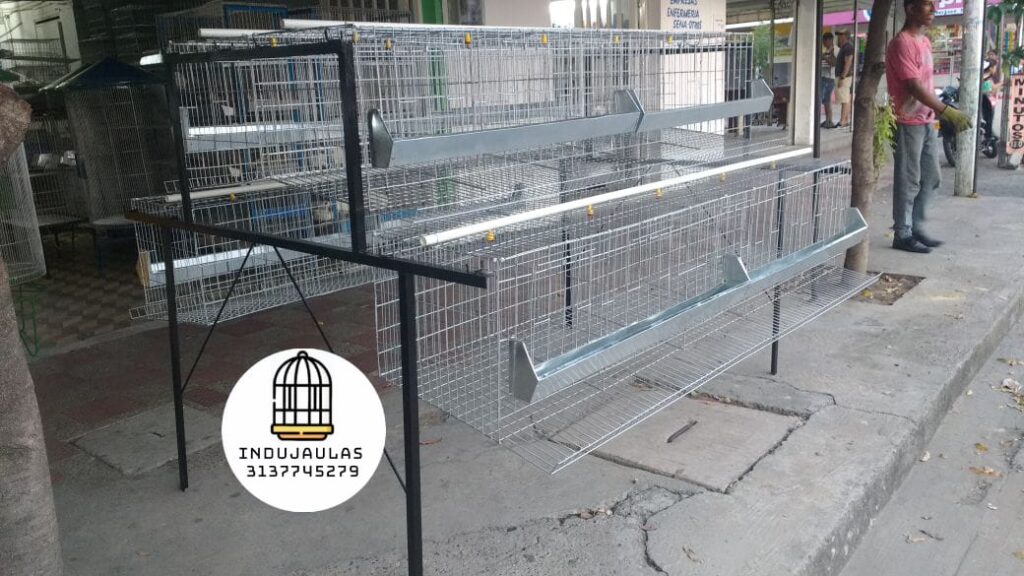 JAULAS PARA GALLINA MODULO PIRAMIDAL PARA 36 AVES | INDUJAULAS, Jaulas ...