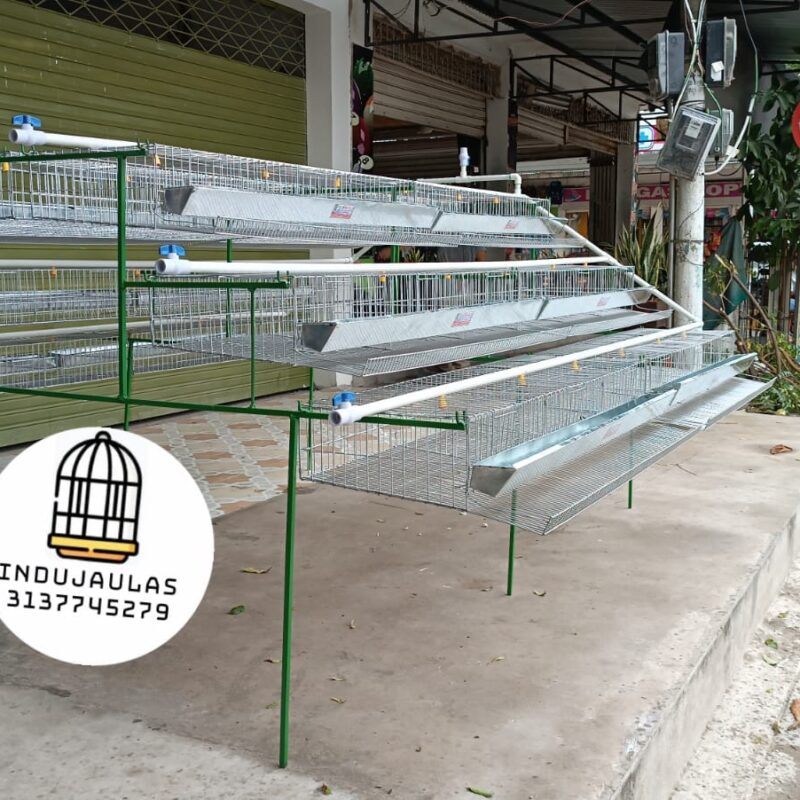 JAULAS PARA CODORNIZ MODULO PIRAMIDAL PARA 250 AVES | INDUJAULAS ...
